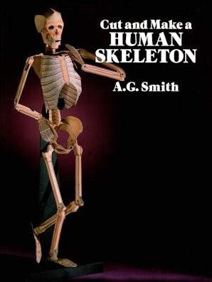 Cut and Make a Human Skeleton – Dover Publications